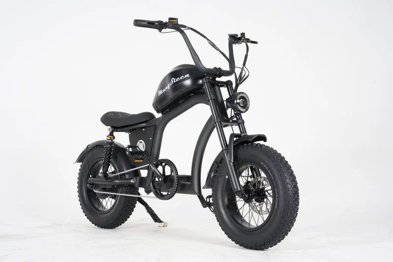 Fatbike Mini – E-Motors Schweiz
